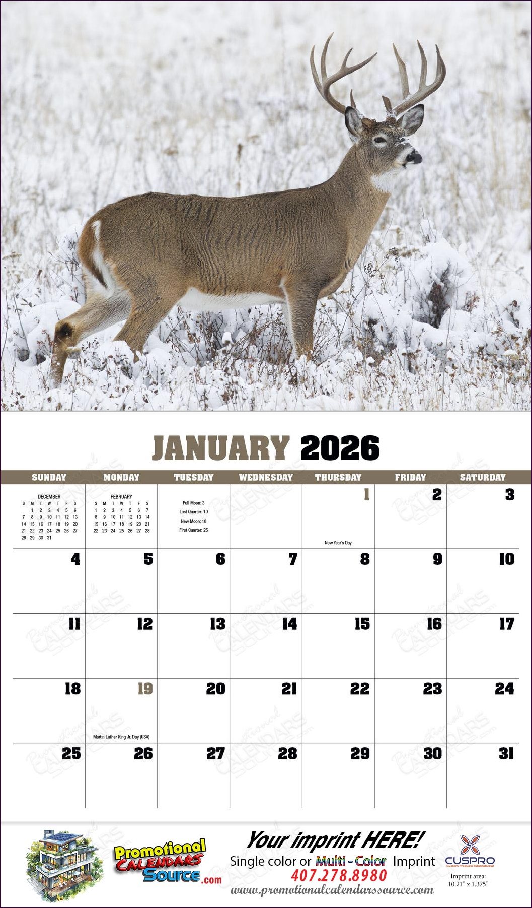 Whitetail Deer Wall Calendar Stapled